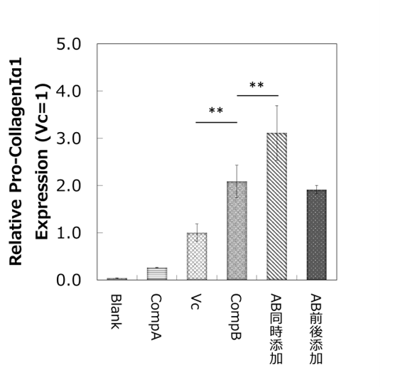 コラーゲン線維の効果的な形成には素材の添加タイミングが重要 | ESTHE！ESTHE！ESTHE！エステ開業の手引き