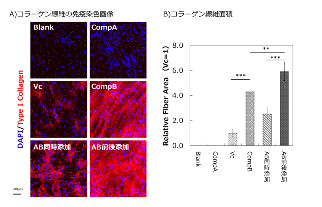 コラーゲン線維の効果的な形成には素材の添加タイミングが重要 | ESTHE！ESTHE！ESTHE！エステ開業の手引き